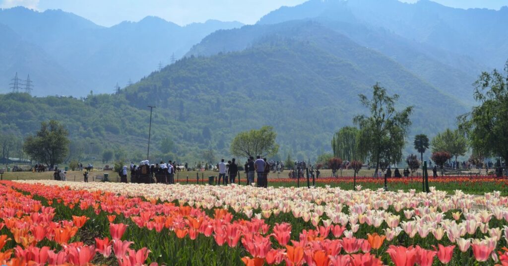 Festivals in April in India: A Celebration of Culture and Traditions